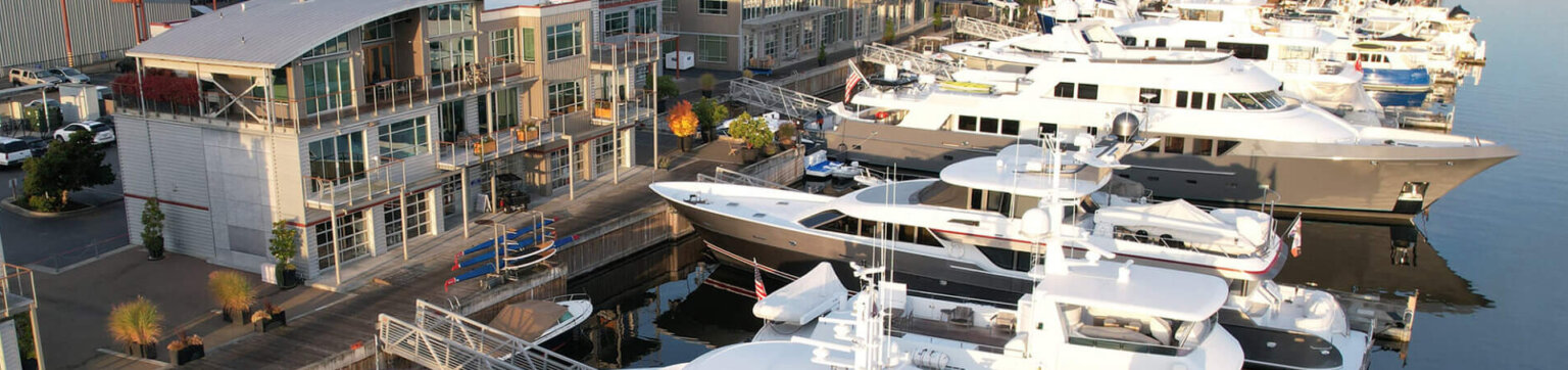 The Story of Wheelhouse | Wheelhouse DMG